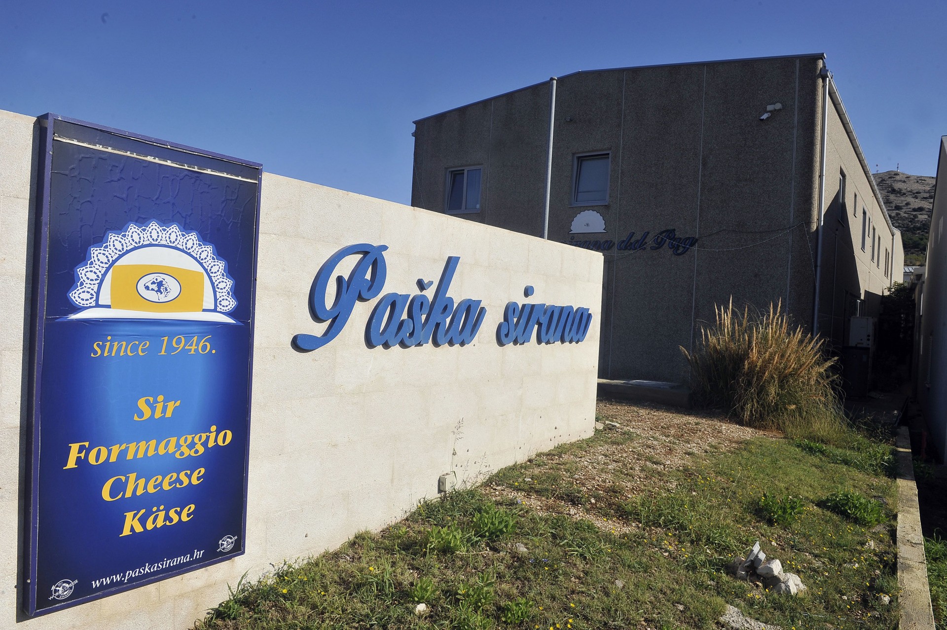 Paški sir - Biser Hrvatske gastronomije - Pokret Otoka